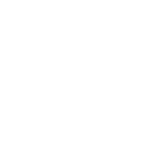 Report Exec Software Releases | Omnigo 2025