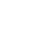 Report Exec Software Releases | Omnigo 2025