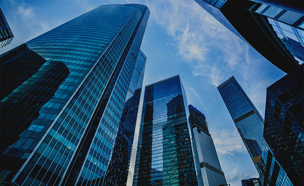 Report Exec Module Overview Brochure | Omnigo